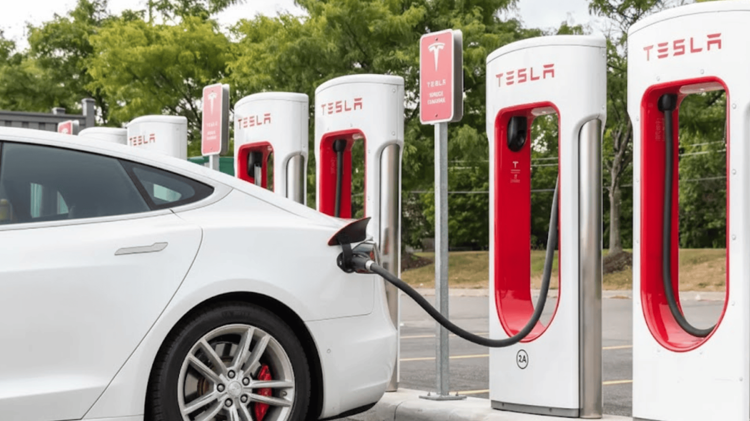 How to Find Free EV Charging Stations Near You? - C-Charge